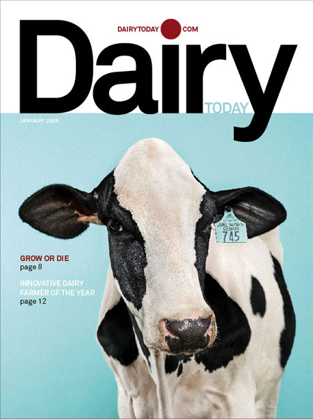 Dairy today redesign