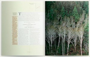 15 great grid-based designs