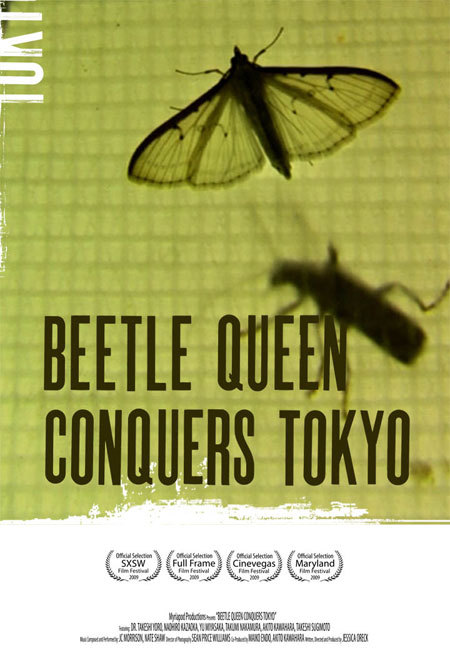 All the posters submitted to the contest