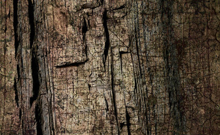 A Showcase of 30 Beautiful Natural Photoshop Textures