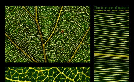 A Showcase of 30 Beautiful Natural Photoshop Textures