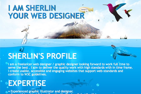 15 examples of good online portfolios