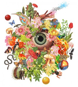 The graphic design work of Jimmy Turrell