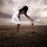 Anja Photography