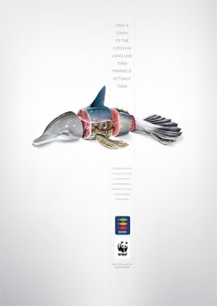 WWF & Sassi: Tuna