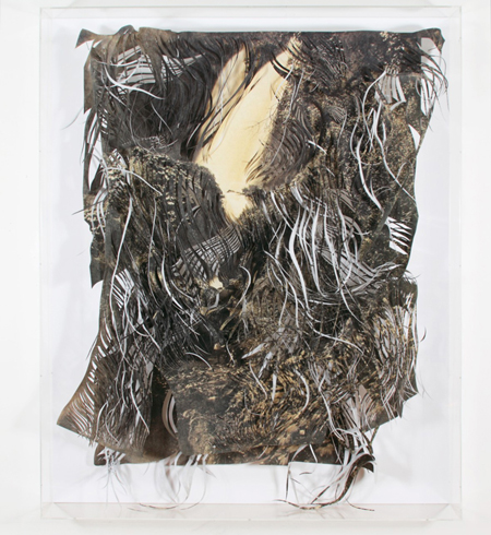 Art created with a scalpel