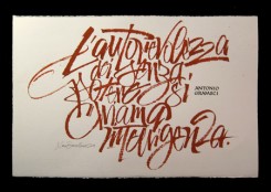 Calligraphy by Luca Barcellona