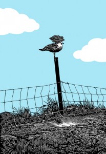 Illustrations by Matthew Green