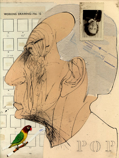 Illustrations by David Hughes