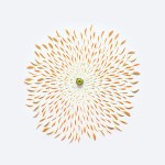 Exploded flowers by Fong Qi Wei