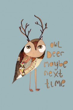 Owl illustrations by Ashley Percival