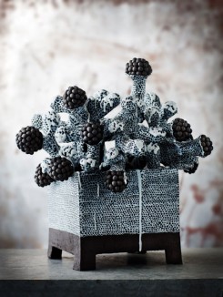 Ceramics by Carl Richard Soderstrom