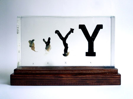 The evolution of type