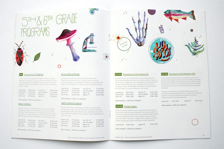 Science Camp brochure by Vanessa Lam