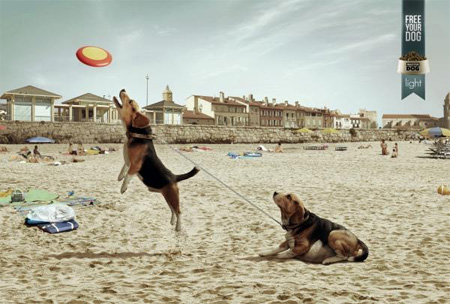A collection of smart, creative print ads