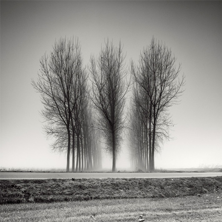 Long Exposure Tree Landscapes by Pierre Pellegrini