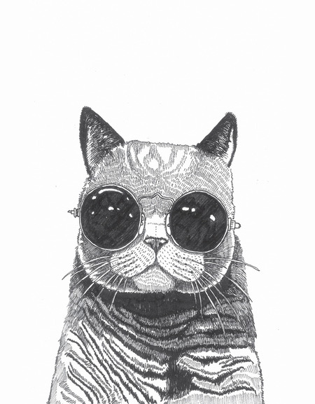 A collection of cool cat illustrations