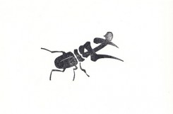 Bugs made of Chinese characters