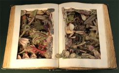 3D artworks carved in old books