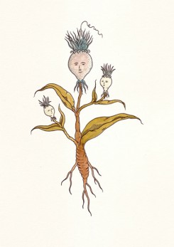 Illustration by Andrew Rae