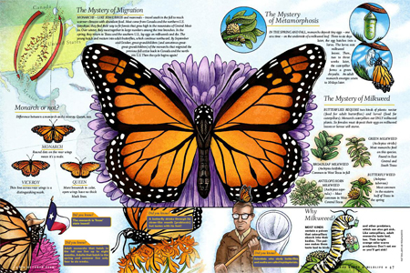 Featured illustrator: Chet Philips