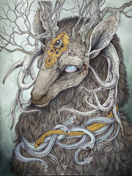 Featured illustrator: Caitlin Hackett