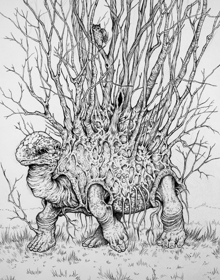 Featured illustrator: Caitlin Hackett