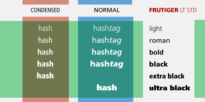 The fonts every design studio should own
