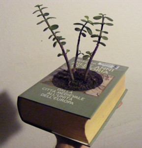 Books recycled to pot indoor plants