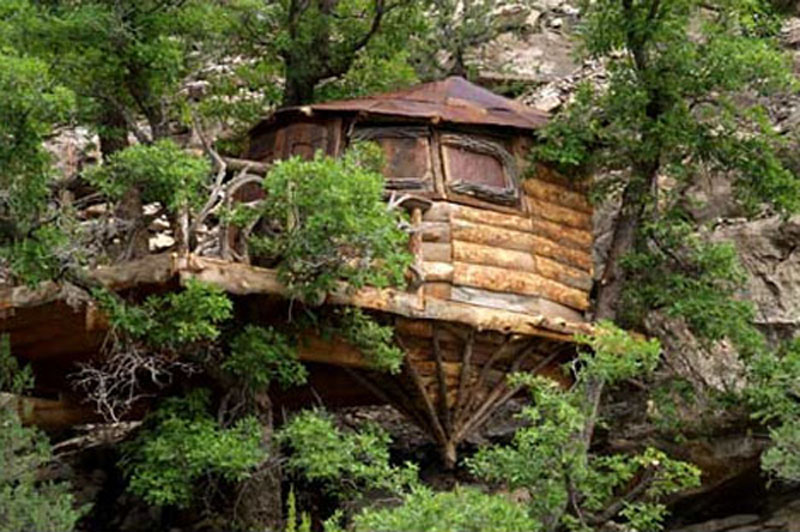 12 cool architectural birdhouses