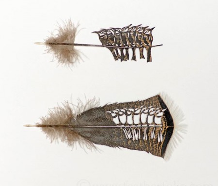 Poetic feathers art by Chris Maynards