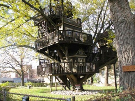 Most amazing treehouses from around the world