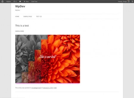6 WordPress plugins to create cool image effects