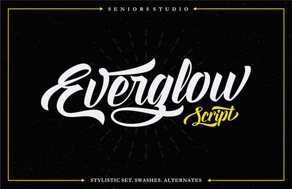 Script Font Bundle: 10 Gorgeous Typefaces for only $27!