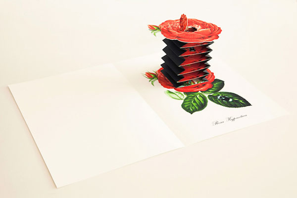 Hand-crafted pop-up books by Bozka