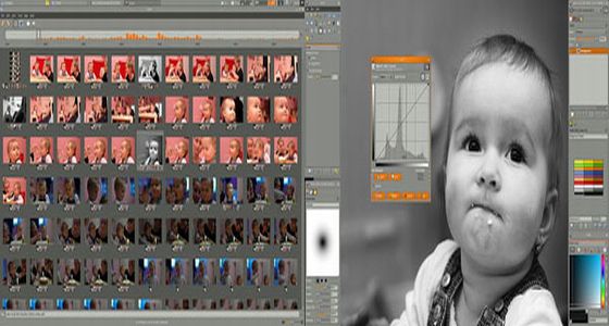 The 12 best open-source tools for designers