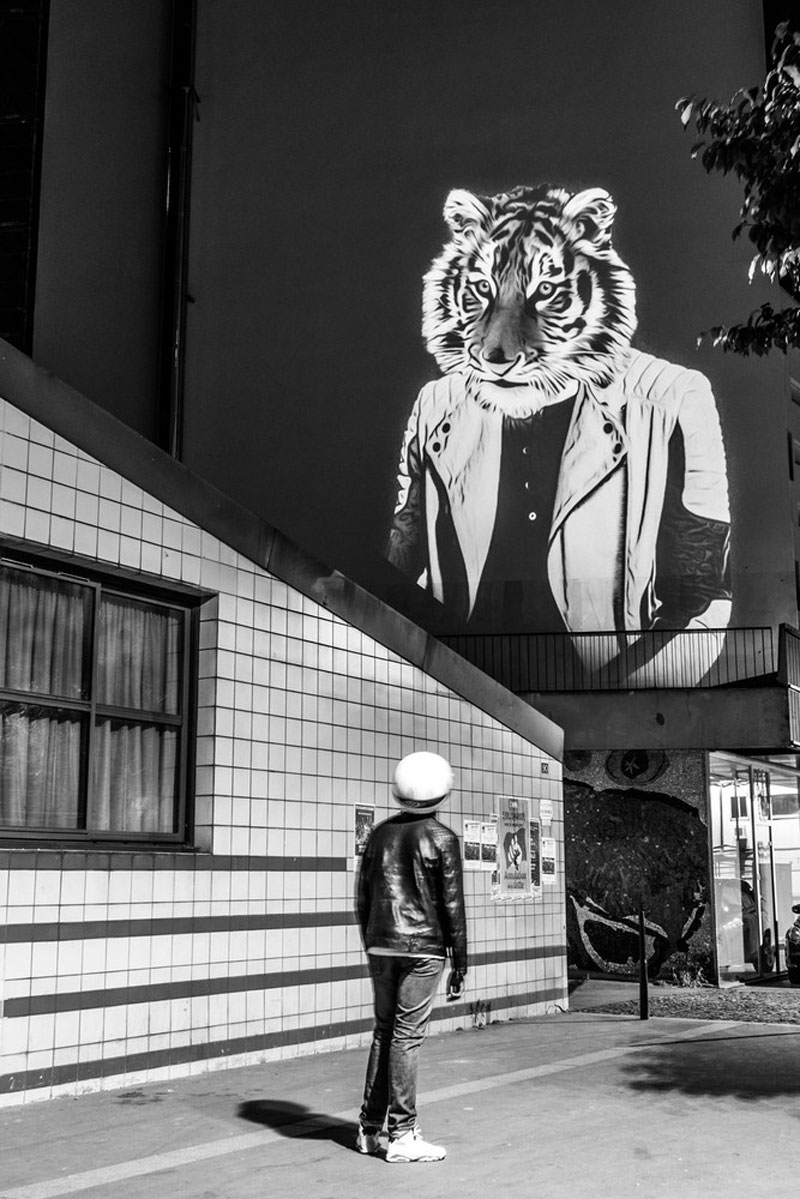 Urban safari, a street art experiment in Paris