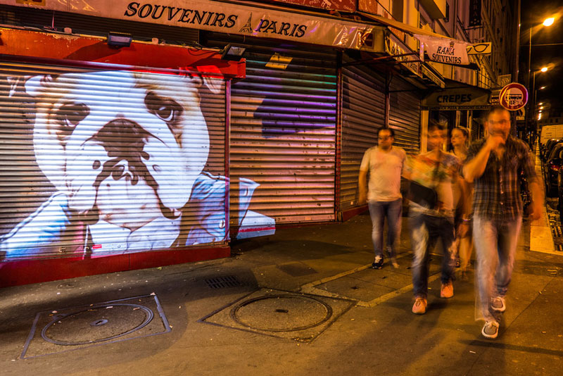 Urban safari, a street art experiment in Paris