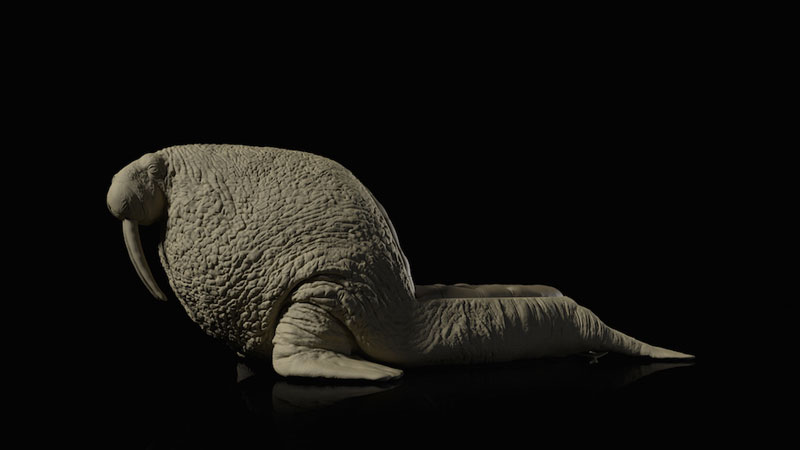 The spectacular animal chair collection by Maximo Riera