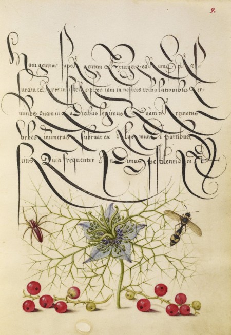 Mira calligraphiae monumenta, a calligraphy book from 1561
