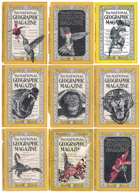 The drawings of Mark Powell