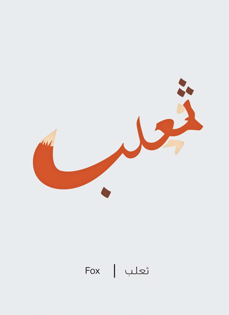 Illustrations that explain Arabic words' meaning