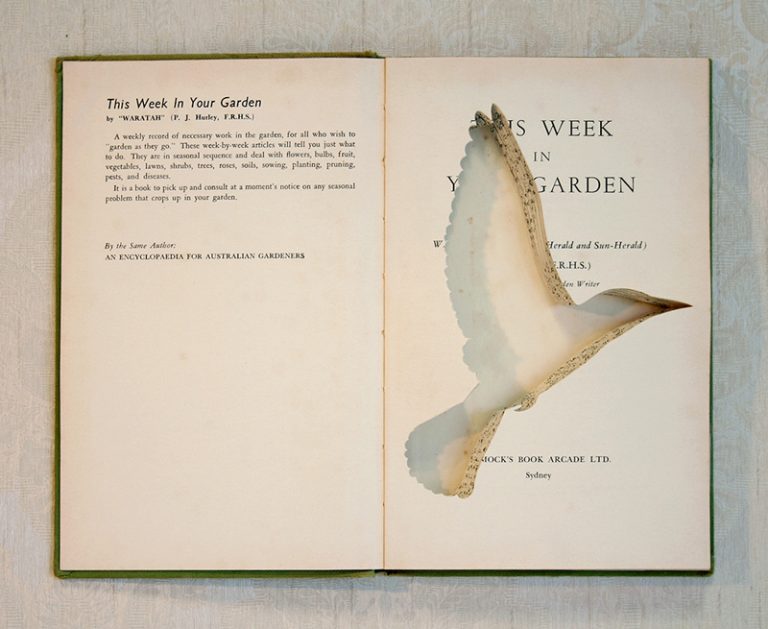 10 artists who create amazing art with books