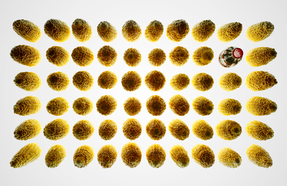 Still life series by Sam Kaplan