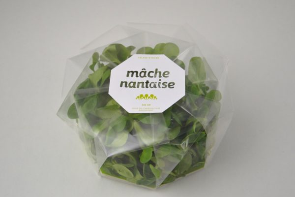 10 Great Examples of Sustainable Food Packaging