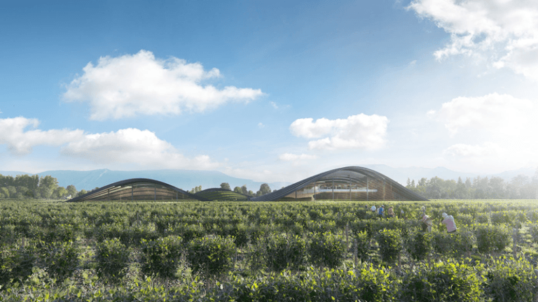 The Stunning Architecture of Shilda winery