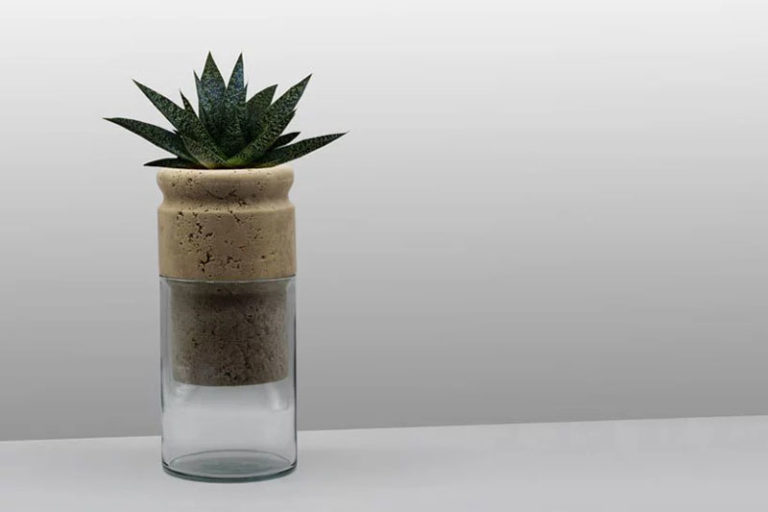 Sponge Flowerpot by Moreno Ratti