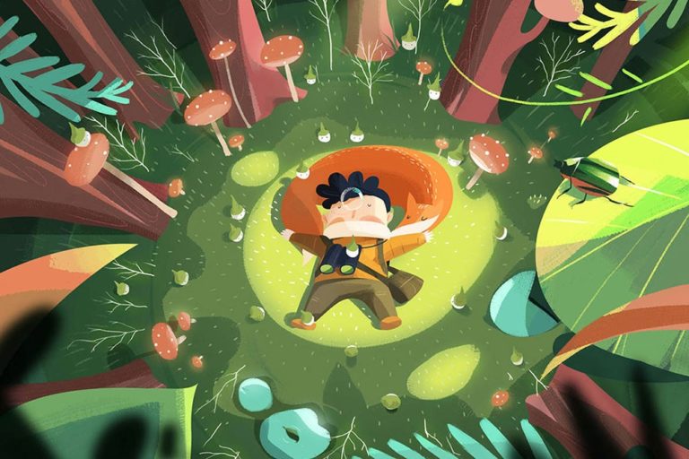 The various types of illustrations a designer can create