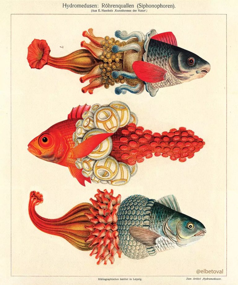 Beto Val's Digital Collages Are Pure Poetry