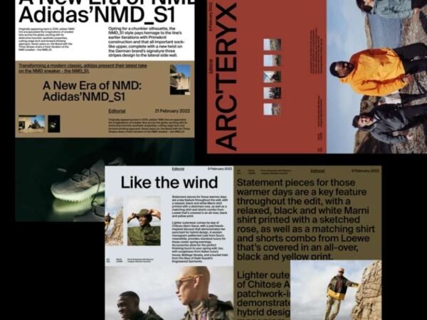 Font Hierarchy: The Key to Effective Design